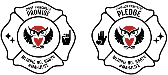 YouTube Channel Member Registration - Mahj Life